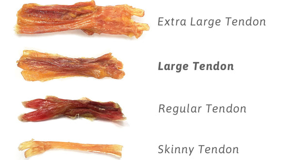 Beef Tendons – Froggy Bottom Outdoors